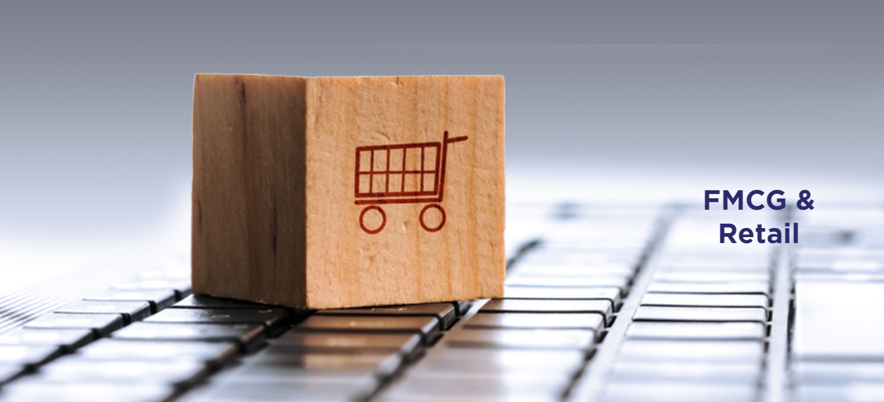 Our Digita Marketing Clients In India - Fmcg & Retail